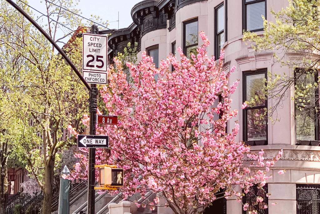Why Spring is a Great Time for Buying a Home in NYC | StreetEasy